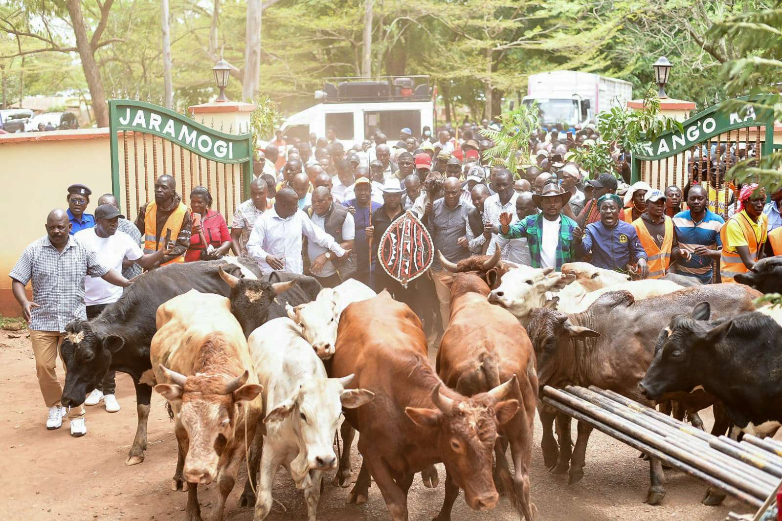 Governor Natembeya Donates 15 Bulls, 15 Bags of Maize to Raila Odinga’s ...